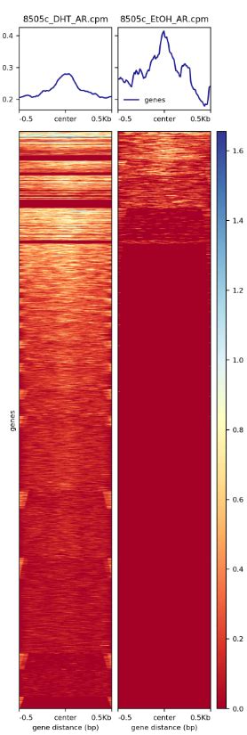 plotheatmap choppy plot—sorting error · issue 983 · deeptools