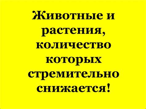 Красная книга. Животные и растения, которые находятся на грани ...