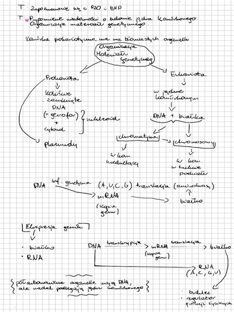 Notebook 10 Pdf