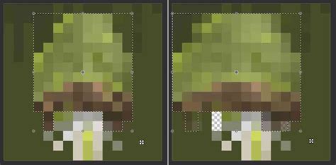 Paint Net Selection Bounds Seem Off When Snapping After Rescale Troubleshooting Bug Reports