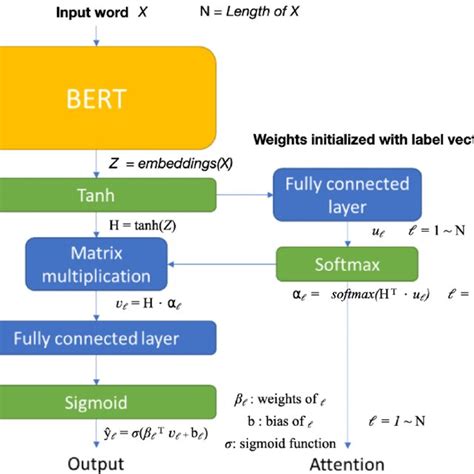our model architecture with label attention bert bidirectional