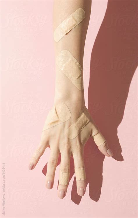 70 Best Under The Microscope Images On Pinterest Life Science Physical Science And The Bee