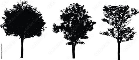 Minimal Style Cad Tree Line Drawing Side View Set Of Graphics Trees Elements Outline Symbol