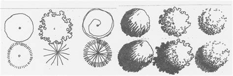 Scribble Trees Handcrafted Books By Michele Olsen