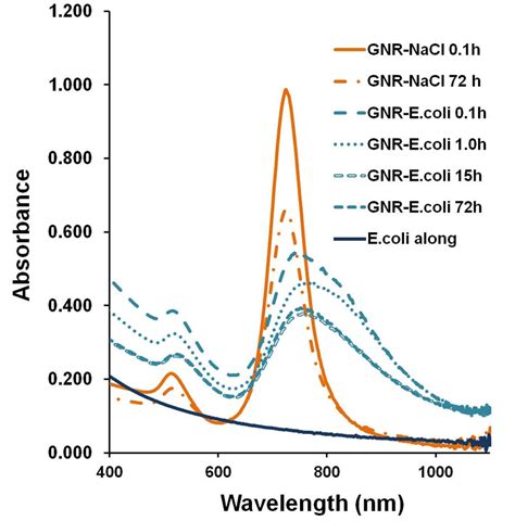 Uv Vis Absorbance Spectra Of Incubation Of E Coli With Ctab Gnr From