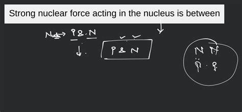 Strong Nuclear Force Acting In The Nucleus Is Between Filo