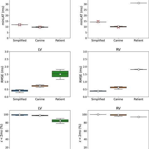 Geometrical Results From Both Ventricles Of The Ten Best Pns Generated