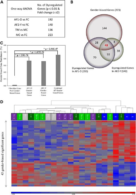 Pcdh19 Fe Affymetrix Human Exon 10 St Arrays Analysis A Comparison Download Scientific