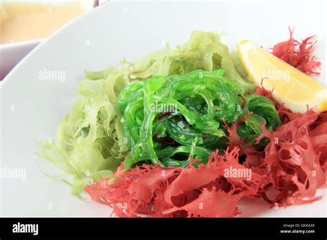 What Is Kaiso At Jim Roebuck Blog