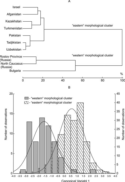 A Upgma Clustering Of V Peregusna Samples With More Than Specimens Download Scientific