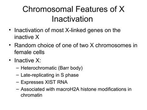 The Sex Chromosomes And Their Abnormalities Ppt