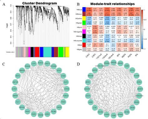 Detection Of Co Expression Network In Duck Breast Muscle A Download Scientific Diagram