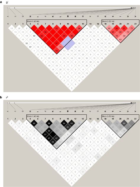 Linkage Disequilibrium Ld Plot Generated Using The Default Settings