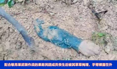 မင်းအောင်လှိုင်လက်နက်ကိုင်တပ်ဖွဲ့သည် မူးယစ်ဆေးဝါးတပ်ဖွဲ့တဖွယ် မြန်မာအမျိုးသား ဒီမိုကရက်တစ