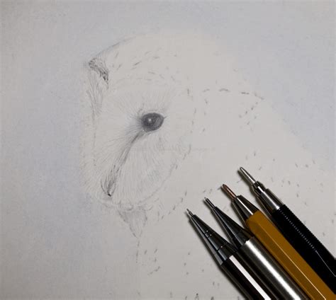 Silverpoint Drawing Definition At Sophie Denny Blog