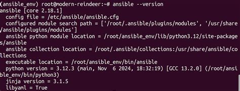 How To Install Ansible On Ubuntu 2404 Step By Step Guide Cherry Servers