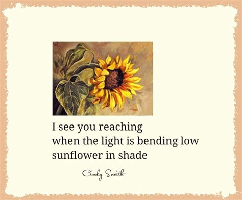 Haiku~ Sunflower In Shade Cindy Smith Haiku Poems Haiku Inklings