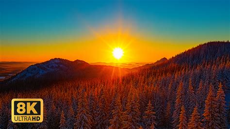 Ultra Hd 8k Oled Color Showcase Dolby Vision™ Demo For Premium Display Testing