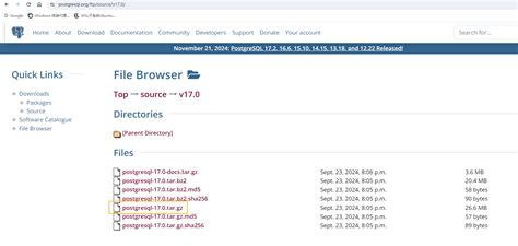 WSL配置PostgreSql开发环境 凌云积墨