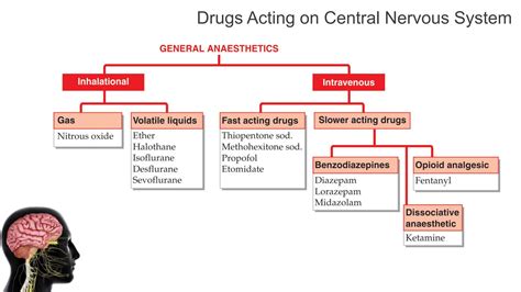 Classification Of Drugs Kt Tripati For Mbbs Bds Allied Notes Ppt