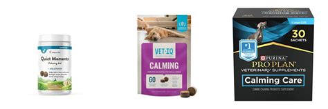 Top 5 Dog Calming Products Reviews And Guide For A Relaxed Pup