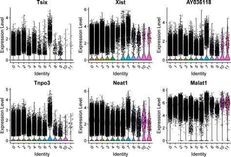 Top Candidate Marker Genes For Cluster 7 Microglia Across All