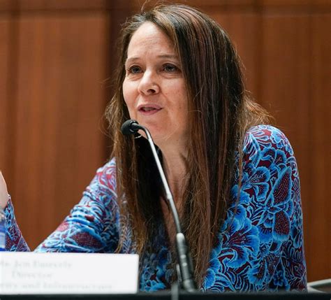 Head Of Us Cybersecurity Agency Sees Progress On Election Security With More Work Needed For