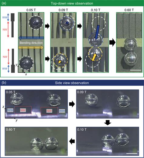 Opposite‐directional Transport Of Two Lm Droplets A Top‐down And B Download Scientific