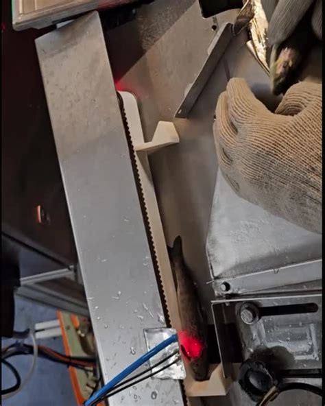 Greenfox On Linkedin Måsøval Sex Sorting