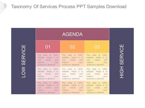 Top 10 Service Taxonomy Powerpoint Presentation Templates In 2025