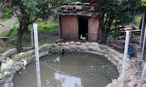 اقامتگاه بوم گردی ننه گل ابرو چالوس ایران بوم گردی