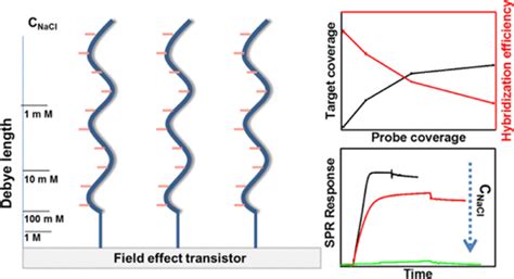 Estimating Detection Limits Of Potentiometric Dna Sensors Using Surface