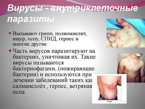 Вирусы неклеточные формы жизни презентация онлайн