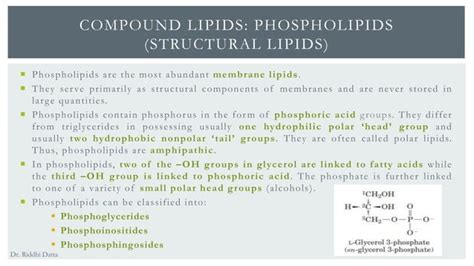 Basics Of Lipid Biochemistry Pptx