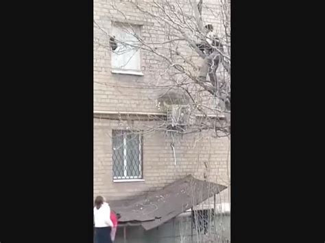 Спасение кошки пошло не по плану ВЫ ОЧЕВИДЕЦ