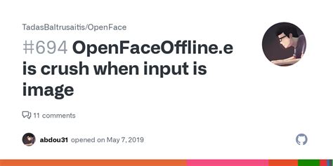 Openfaceofflineexe Is Crush When Input Is Image · Issue 694
