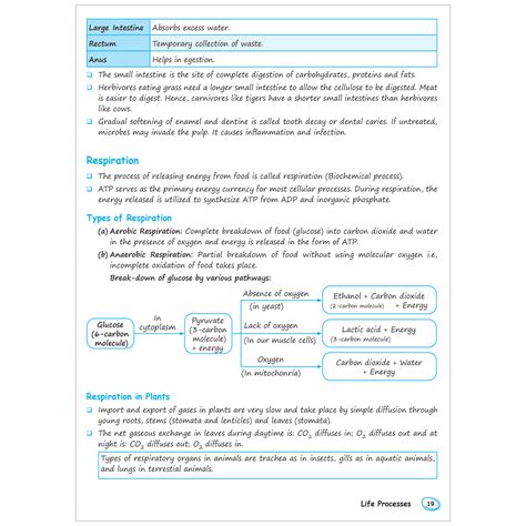Cbse Class 10 Topper Handwritten Notes For 2026 Exams Pw Store