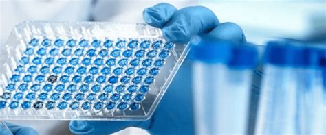 Technology Digest Defining Specificity Within The Elispot Assay