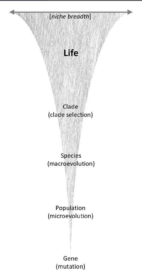 Figure 2 From The Adaptive Continuum And How Species Succeed And Fail Semantic Scholar