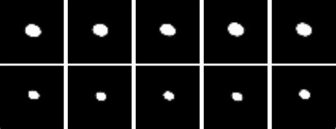 Spatial Attention Weights That Were Learned In Each Of The Download Scientific Diagram
