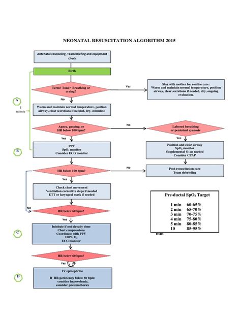 Neonatal Resuscitation Algorithm Pdf Cardiopulmonary Resuscitation