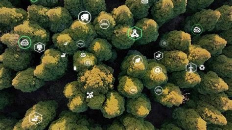 How Tocritically Assess Nickel Carbon Footprint Data Future Mining