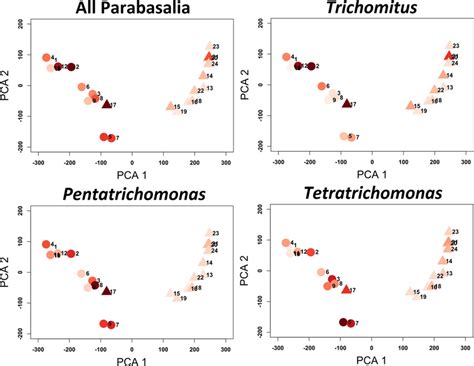 Principal Component Analysis Pca Plot For Aitchison Distance Based On Download Scientific