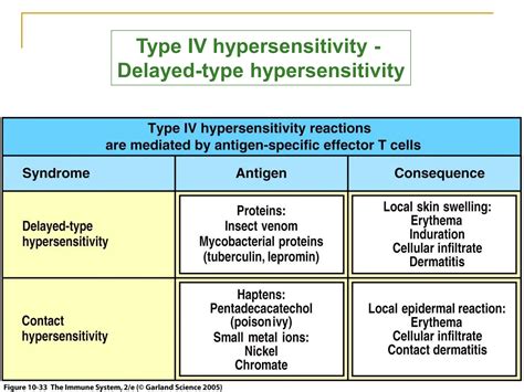 Hypersensitivity And Its Causes And Effects Ppt