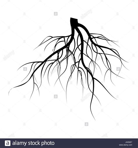 Tree And Roots Drawing At GetDrawings Free Download