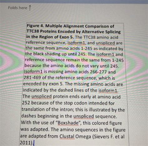 Exam Practice Flashcards Quizlet