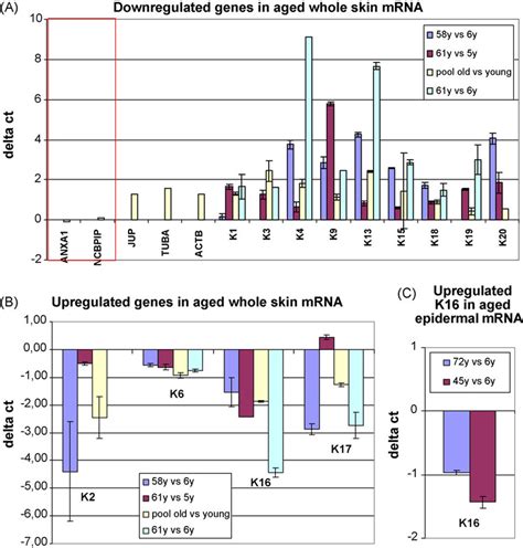 Real Time Pcr Gene Expression Profile Of Cytosekeletal Genes Anxa1 And Download Scientific