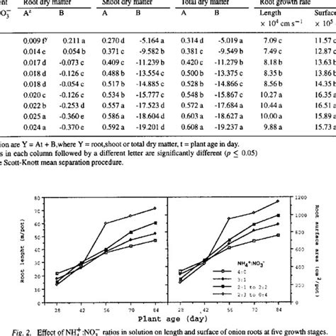 Regression Equation Coefficients For The Relation Between Root Dry