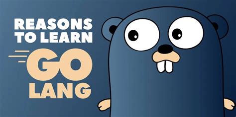pravesh sudha on linkedin programming golang coding devops learningjourney
