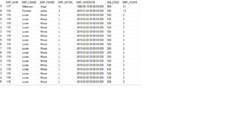 Stored Procedure In Sql Server Is Inserting The Same Data Multiple